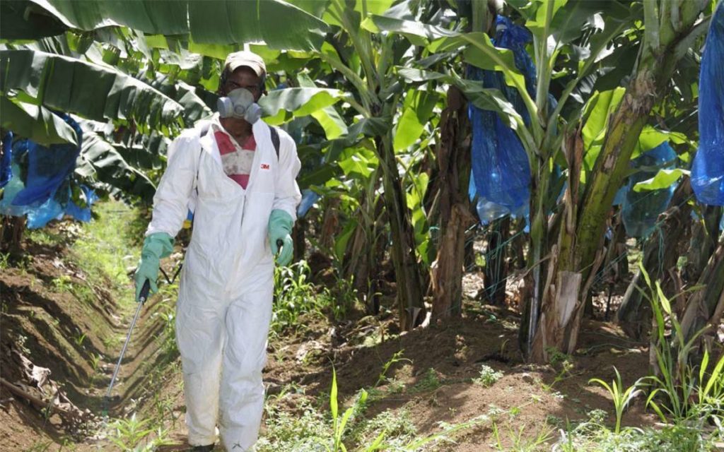 Zéro chlordécone pour une alimentation saine - KARIBINFO