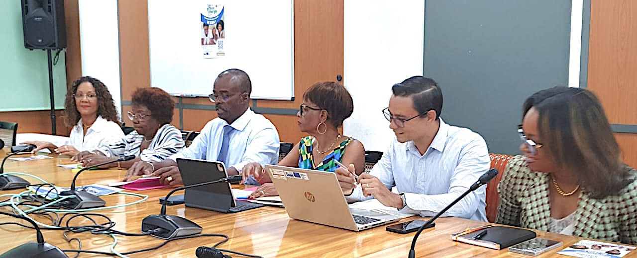 Guadeloupe. Coup de pouce Energie : 220 euros de la Région pour 61 000 ...